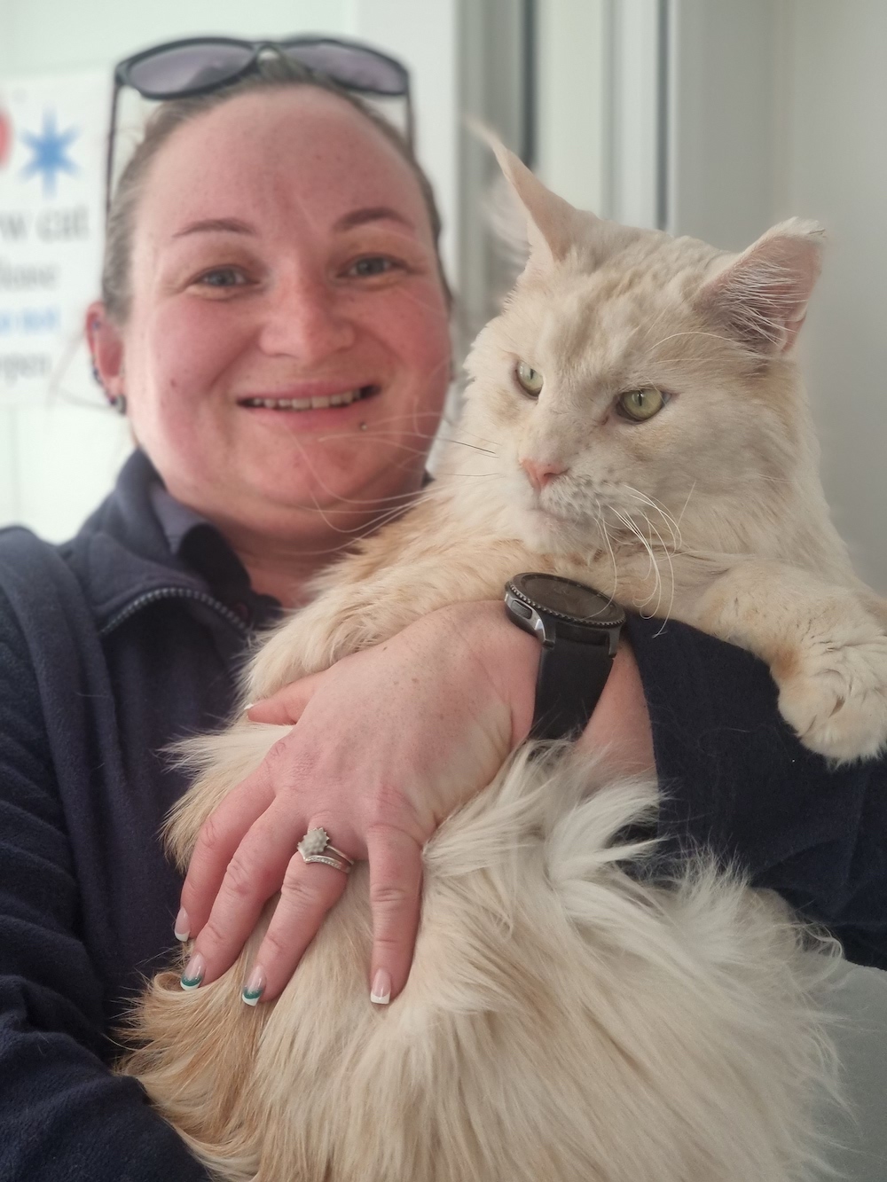 Discover the RSPCA Isle of Wight Animal Centre Today