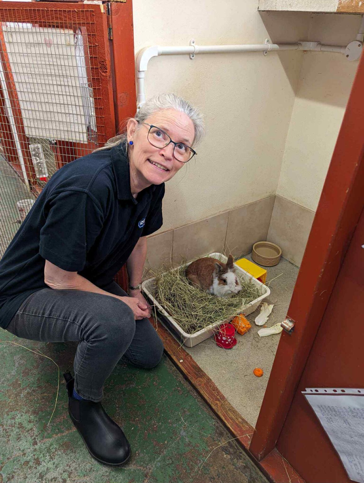 Volunteers Week - RSPCA Isle of Wight